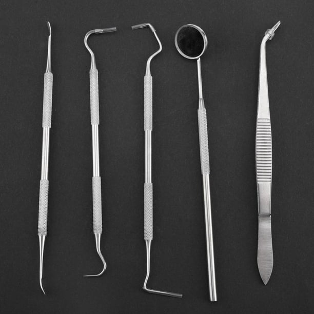 Fdit 5Pcs Professional Stainless Steel Dentist Tools Set Dental Hygiene ...