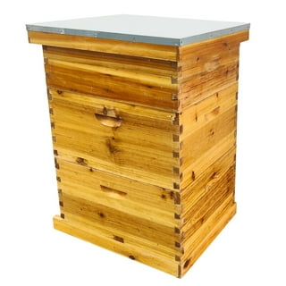 Solar Fume Board 10 Frame for Bee Hive - Walmart.com