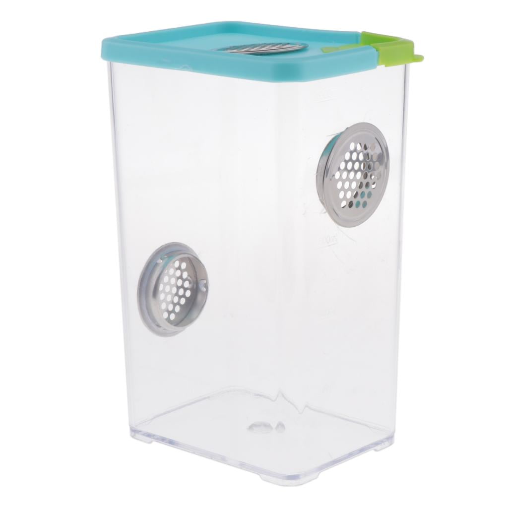 Reptile Beetle Spider Hatchery Feeding Breeding Box Tank - Walmart.com