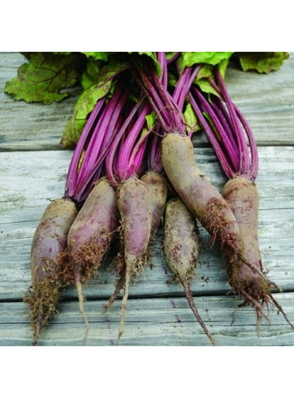 Beet Seeds in Seed Gardening - Walmart.com