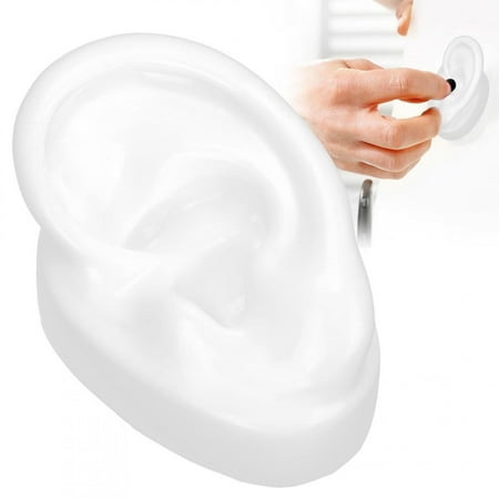 Silicone Ear Model, Simulation Artificial Ear Display Model For Wearing ...