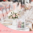 25 Pack 6.3" x 5.9" x 2.8" Clear Gift Bags with Handle, Reusable ...