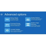 Computer Werx Win 11 Home 64 Bit USB: Repair, Recover, Restore for UEFI ...