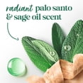 Dove Limited Edition FIFA Body Wash Palo Santo & Sageo Oil for Hydrated ...