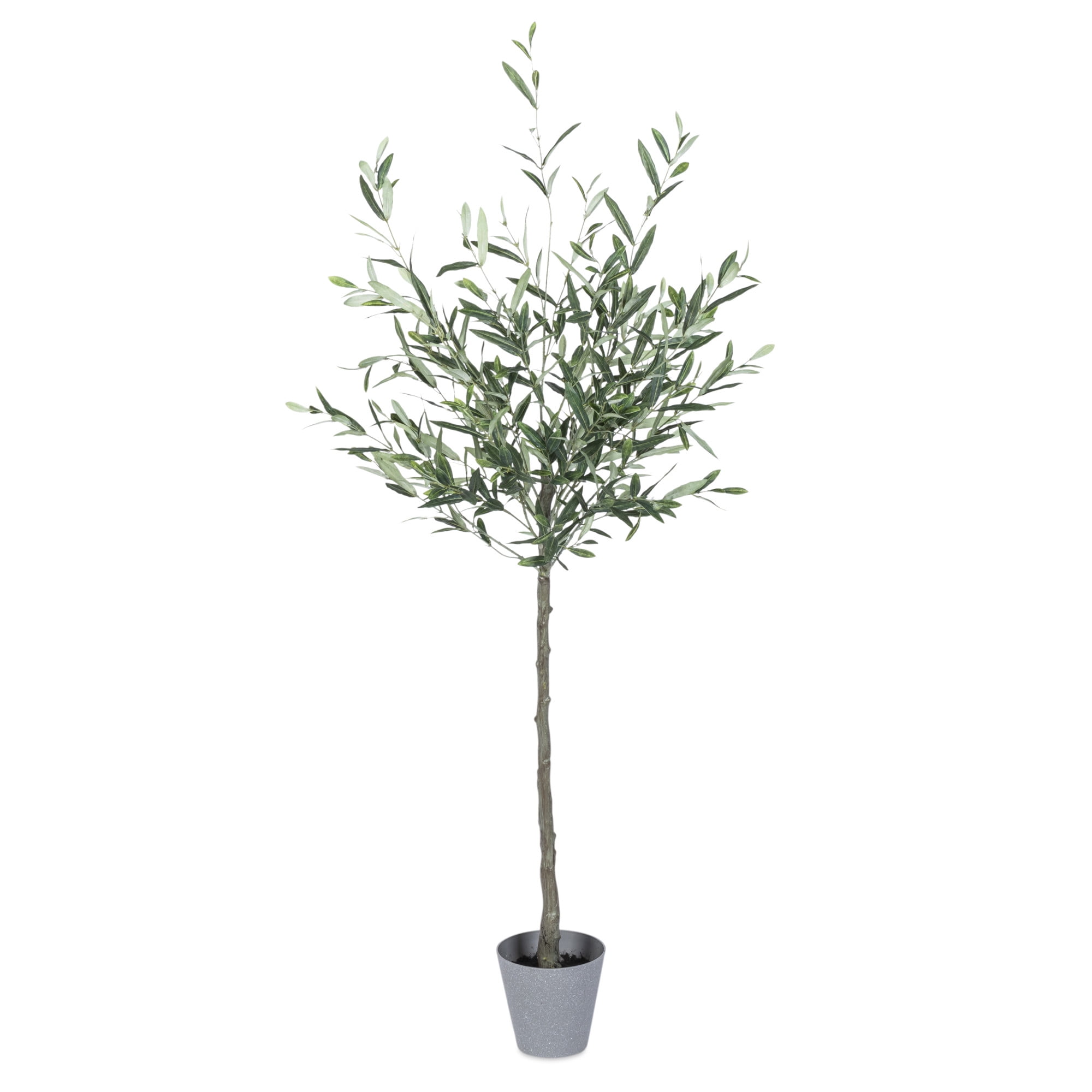 Gerson 5 ft High Olive Tree with Plastic Pot - Walmart.com
