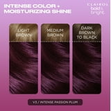 Clairol Permanent Hair Color Creme V3 Intense Passion Plum with Vibrant ...