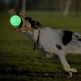 4-Pack 2.5” Glow in The Dark Squeaky Dog Balls, Durable Glowing Bouncy ...