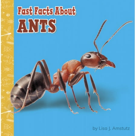 Fast Facts about Ants (Fast Facts about Bugs & Spiders) | Walmart Canada