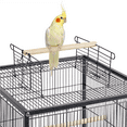 "Topeakmart 40"" Bird Cage, Wrought Iron, Open-Top for Cockatiel, with ...