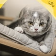 Transparent & Breathable Cat Mask for Grooming & Vet Visits | Double ...
