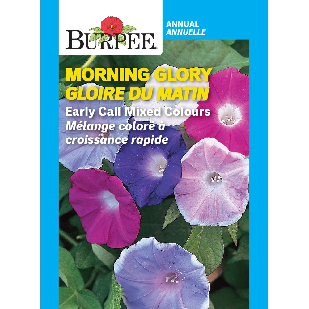 Click here for Burpee Canada Burpee Early Call Mixed Colours Morn... prices