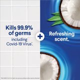 Clorox Scentiva Disinfecting Mist, Coconut and Waterlily, 16 Fluid ...
