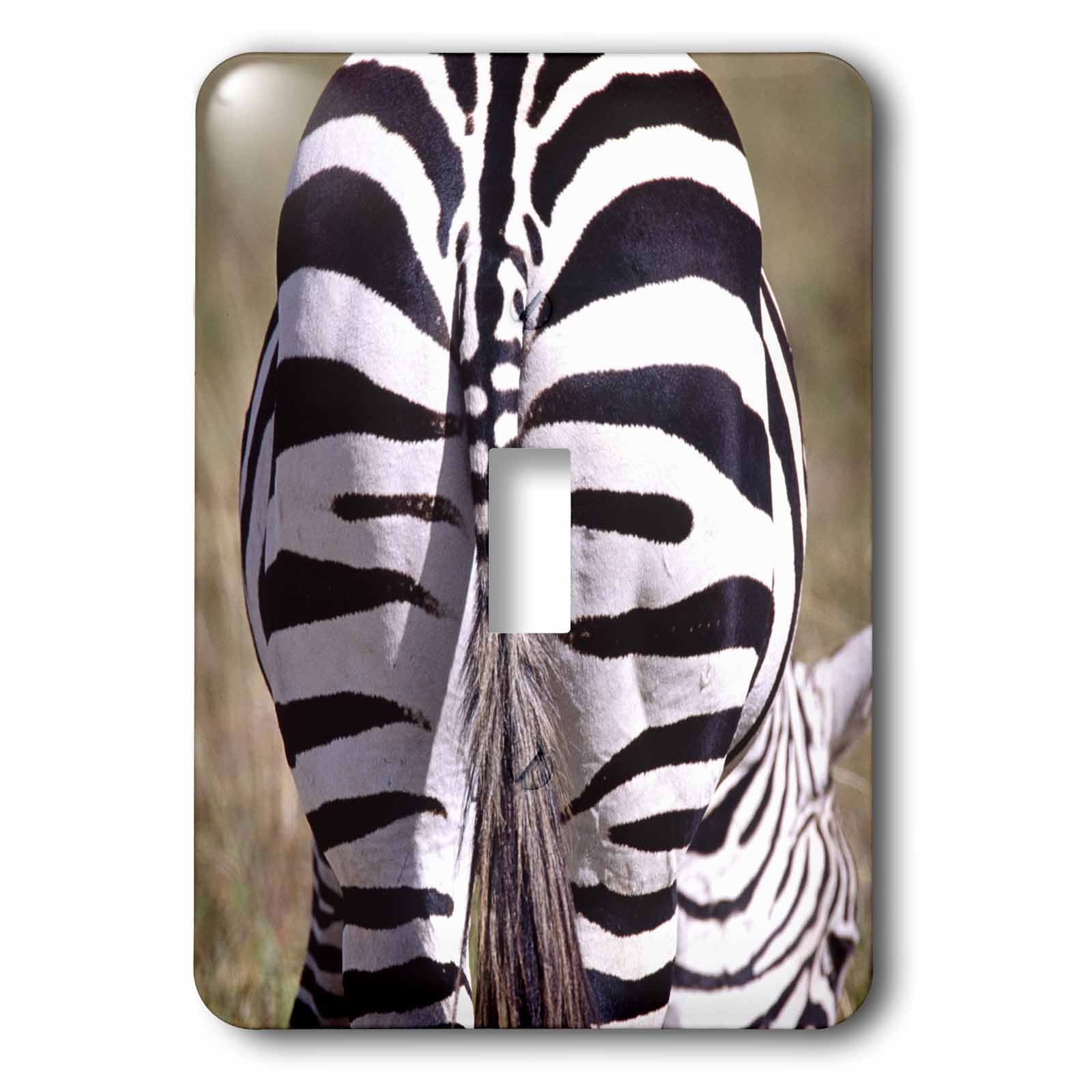 3dRose Zebra Rear End, Tanzania Africa - NA02 DNO0371 - David Northcott ...