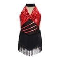 Aiihoo Kids Girls Jazz Fringed Leotard Dress Sparkly Sequins Cha-cha ...