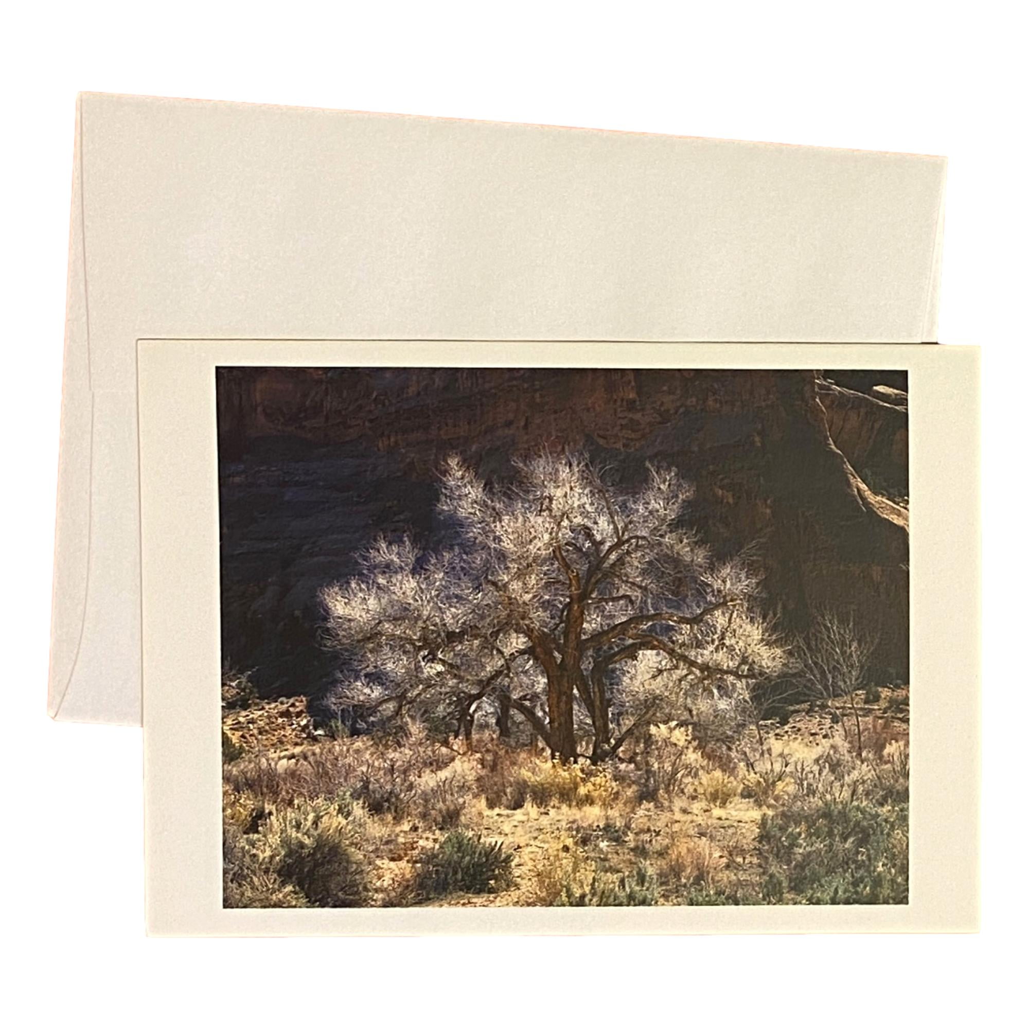 Greeting Card for Loved Ones, Family and Friends - none - Blank Note ...