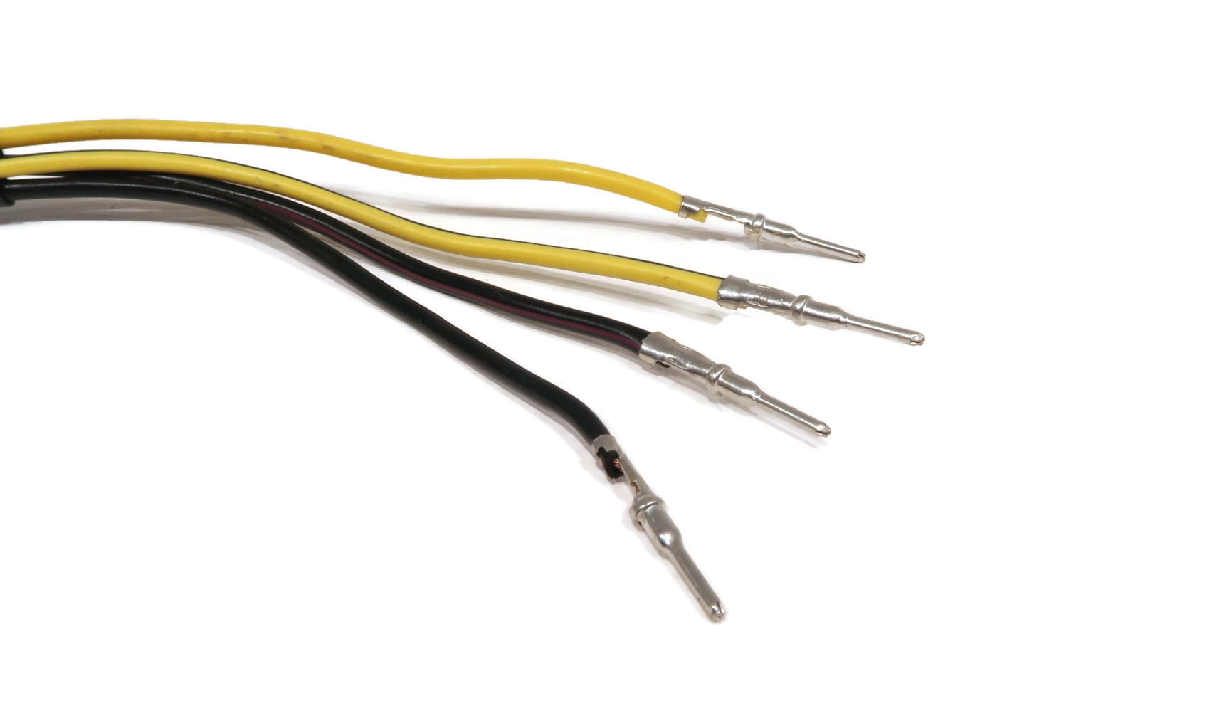 Buy The ROP Shop | Ignition Stator for Sea-doo 1998 1999 2000 Sportster ...