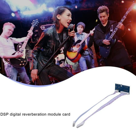 Dsp Digital Reverberation Module Stereo Reverberation Board DC5V ...