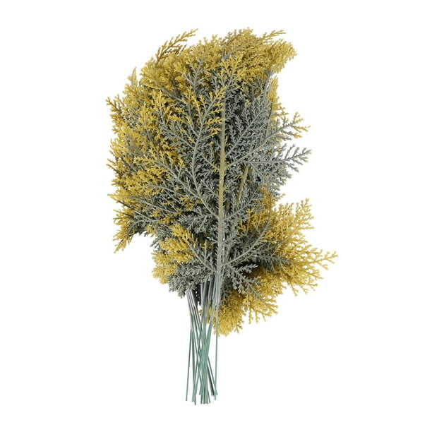 Cedar Sprig