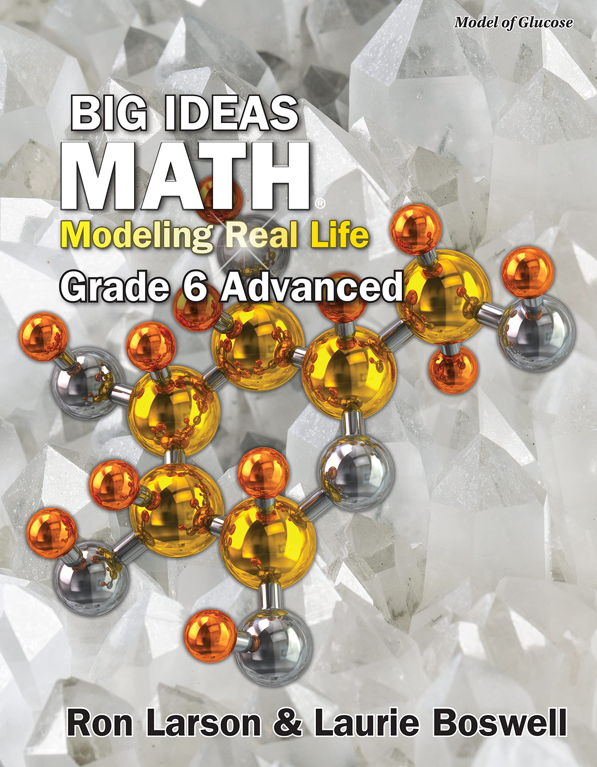 Pre-Owned Big Ideas Math: Modeling Real Life - Grade 6 Advanced Student ...