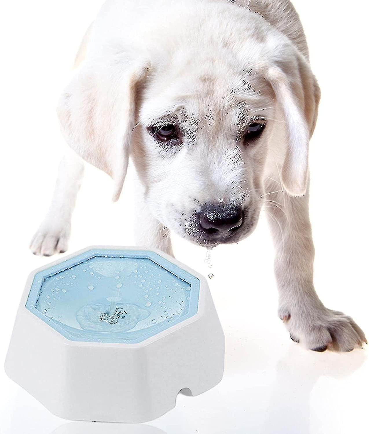 Tazón de agua antisalpicaduras para perros con disco flotante, tazón de ...