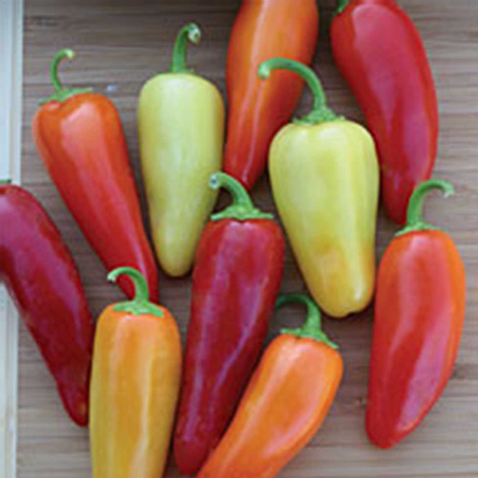Santa Fe Grande Hot Pepper Garden Seeds - 1 Lb - Non-GMO, Heirloom ...