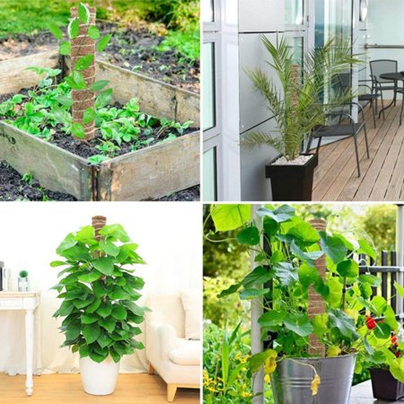 Plant Climbing Pole Plant Support Pole; Plant Creeper Potting Extension ...