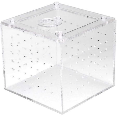 Transparent Reptile Insect Viewing Box, Live Food Storage Acrylic ...