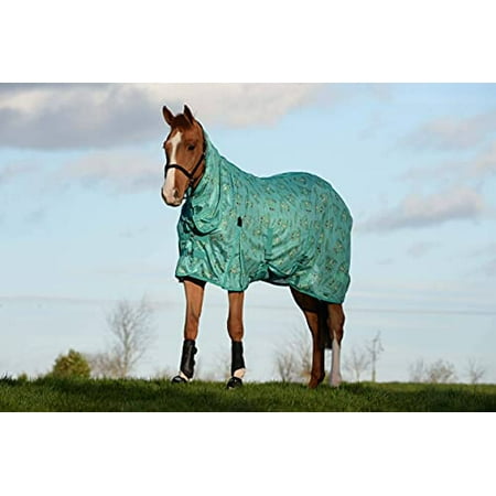 Saxon Mesh gusset combo Neck Fly Sheet 54 Frog | Walmart Canada