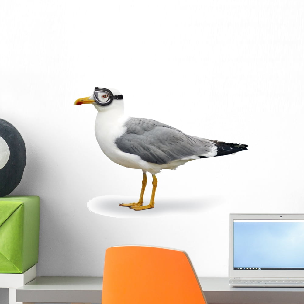 Venturesome Seagull Wall Decal by Wallmonkeys Peel and Stick Graphic ...