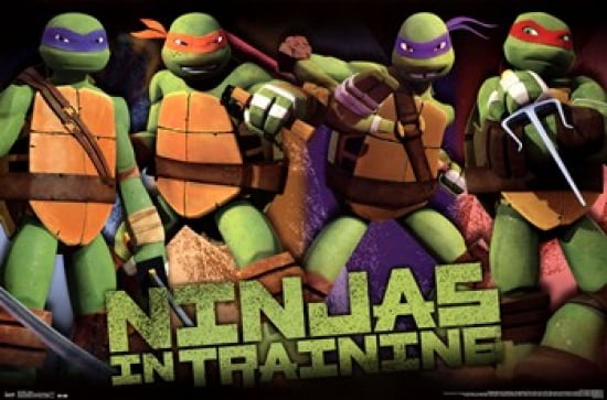 Classic Teenage Mutant Ninja Turtles Say No to Drugs Say Yes to Pizza ...