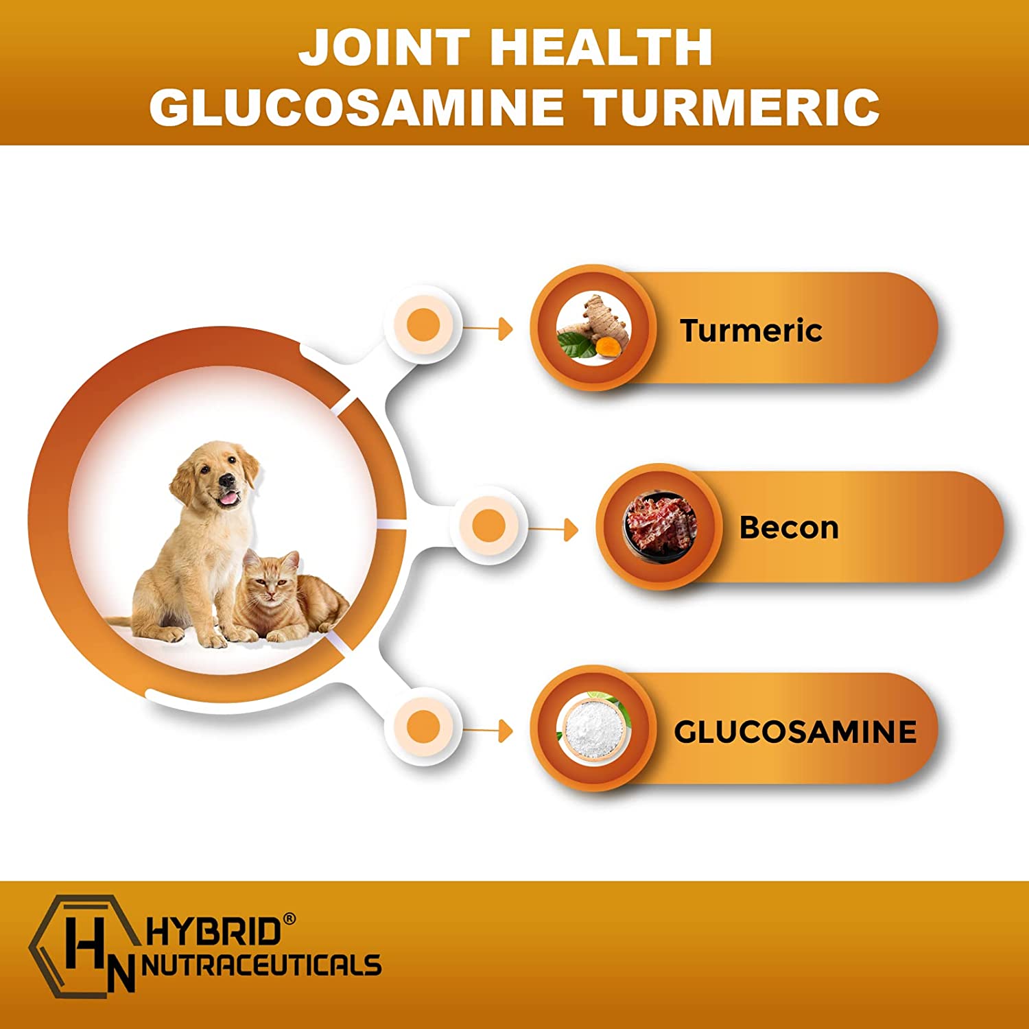 Can Glucosamine Cause Upset Stomach In Dogs