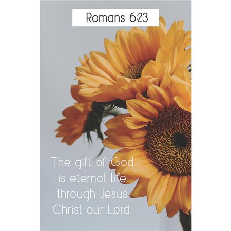 B&H Publishing 265588 Bulletin - The Gift of God is Eternal Life ...