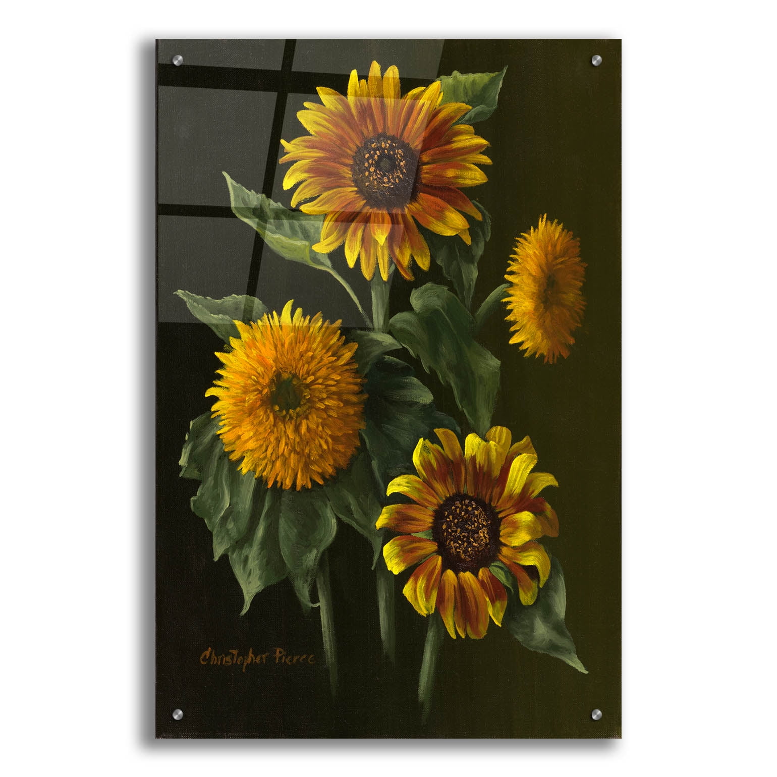 Epic Art 'Four Sunflowers' by Christopher Pierce, Acrylic Glass Wall ...