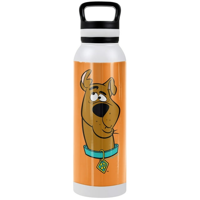 Scooby Doo! Official Confused 24 oz Insulated Canteen Water Bottle ...