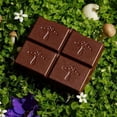 Alice Chocolate Brainstorm – Brain-Boosting Organic Dark Chocolate ...