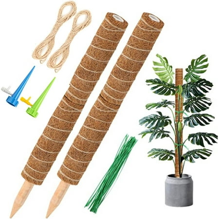 Suertree Moss Pole 4 Pack 12 Inches Coir Pole for Cheese Plant Climbing ...