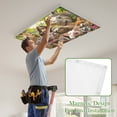 1 Pcs Wild Animal Fluorescent Light Covers Chimp Sloth Kangaroo Fox Pig ...