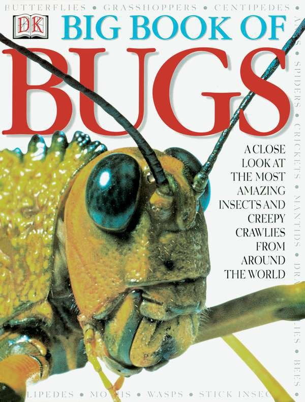 DK Big Books: Big Book of Bugs (Hardcover) - Walmart.com - Walmart.com