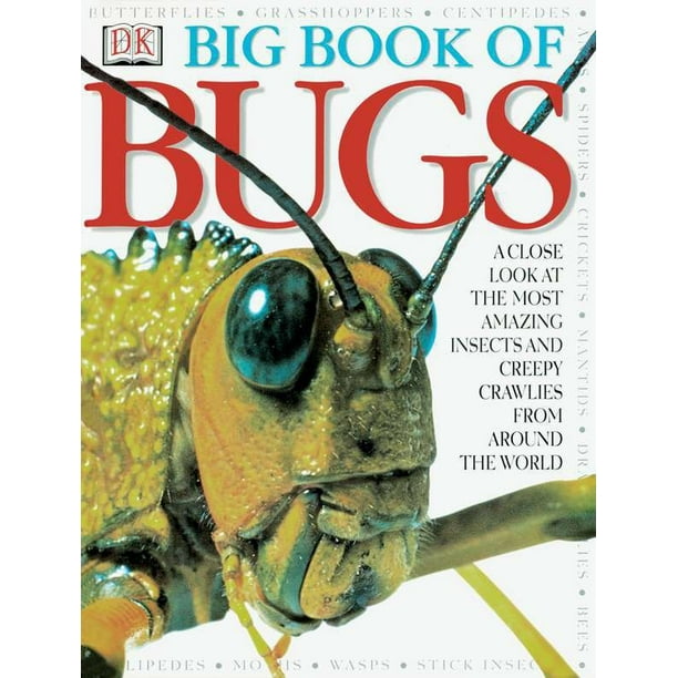 DK Big Books: Big Book of Bugs (Hardcover) - Walmart.com - Walmart.com