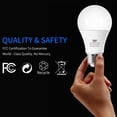100W Equivalent Bright LED Light Bulbs, Daylight White 5000K A19 ...