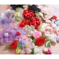 Charmed Assortment of 100 Pieces Small Organza/Satin Flowers Craft and ...