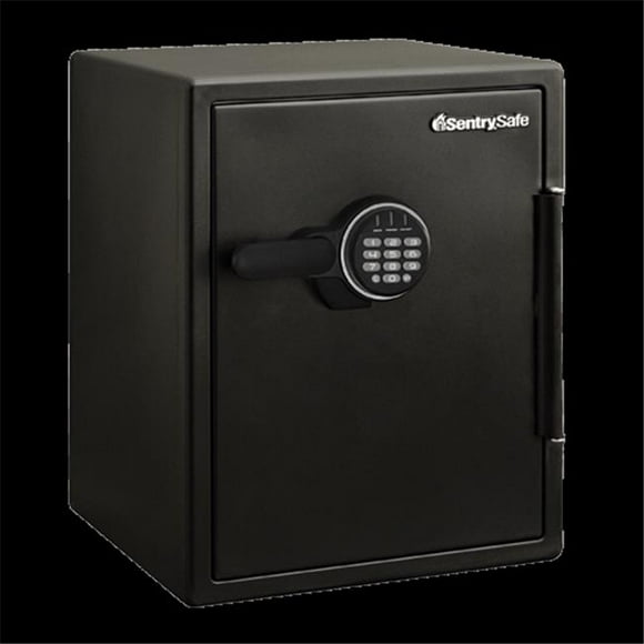Sentrysafe Fire Safe