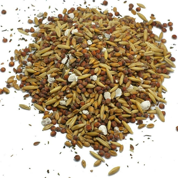 Scratch Grains Chickens