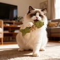 2026 New Creative Fish Bone Cat Dental Chew Toy -Natural Catnip ...