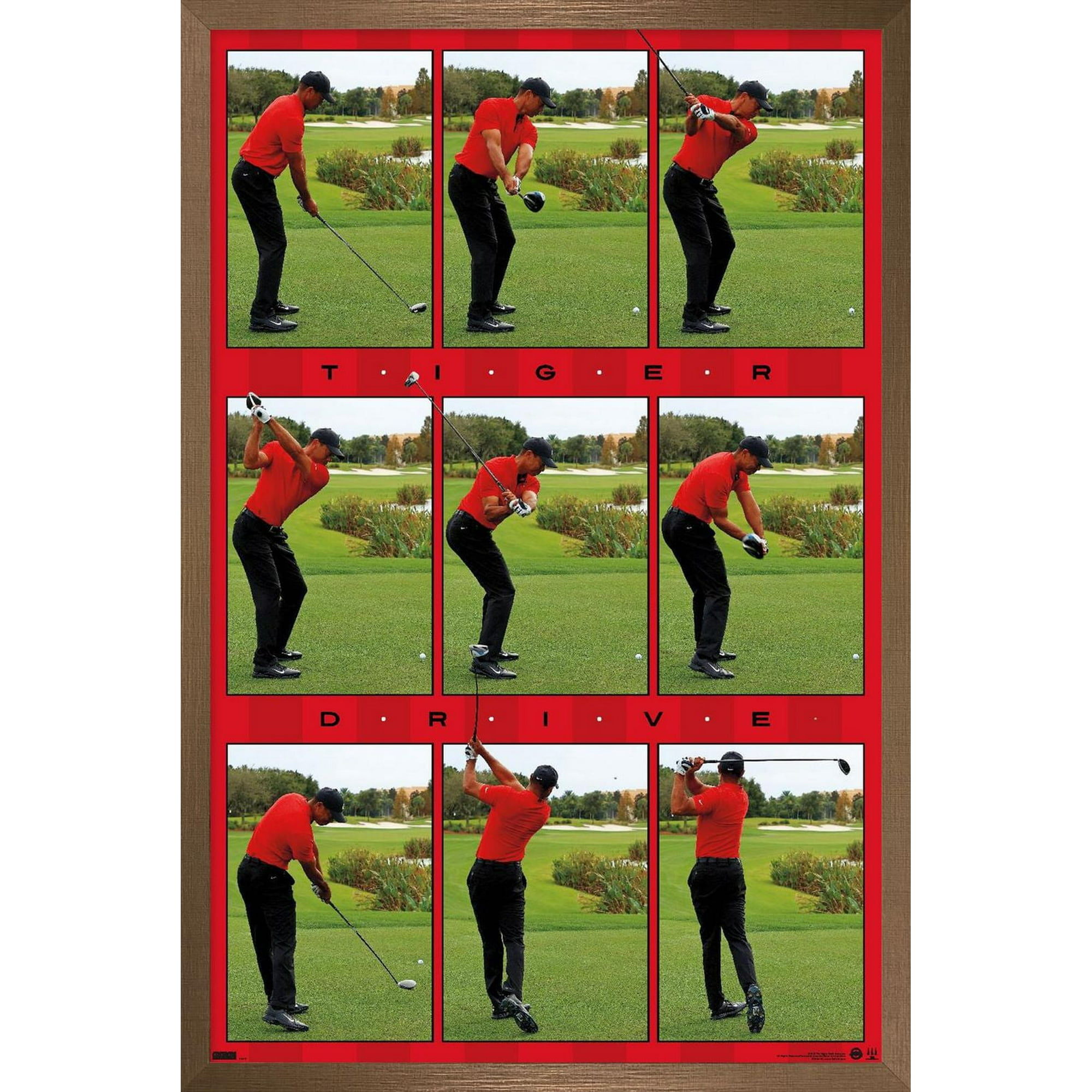 Click here for Trends International Tiger Woods - Drive Wall Post... prices