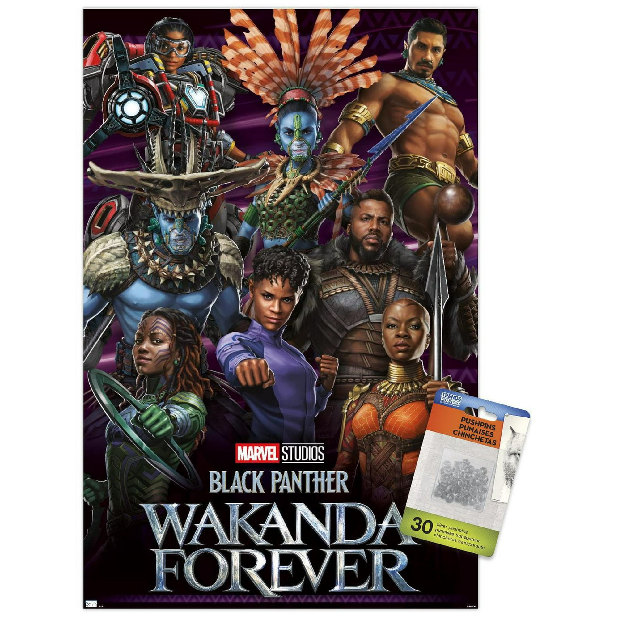 Click here for Trends International Marvel Black Panther: Wakanda... prices