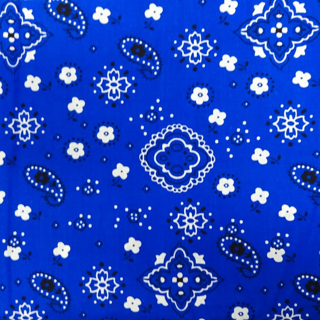 Shason Textile Craft Project Poly Cotton Bandana Print Precut Fabric (2 ...