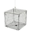 "Danielson Pacific Saltwater Crab Trap, 24"" Square Folding with 2 ...
