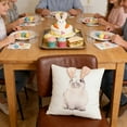 BVEBJDX Rabbits Pillow Cover Easter Living Room Sofa Bedroom Small ...