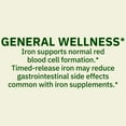 Spring Valley Slow Release Iron General Health & Wellness Dietary ...
